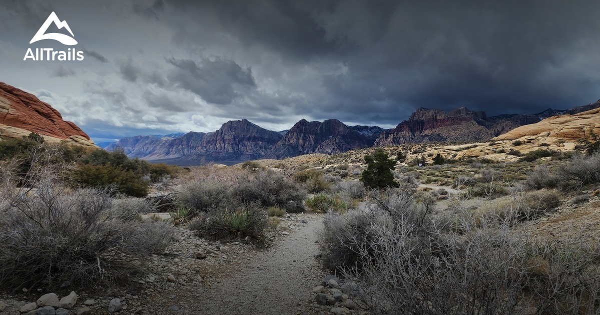 Calico Hills - hikes and trails to get you there | AllTrails