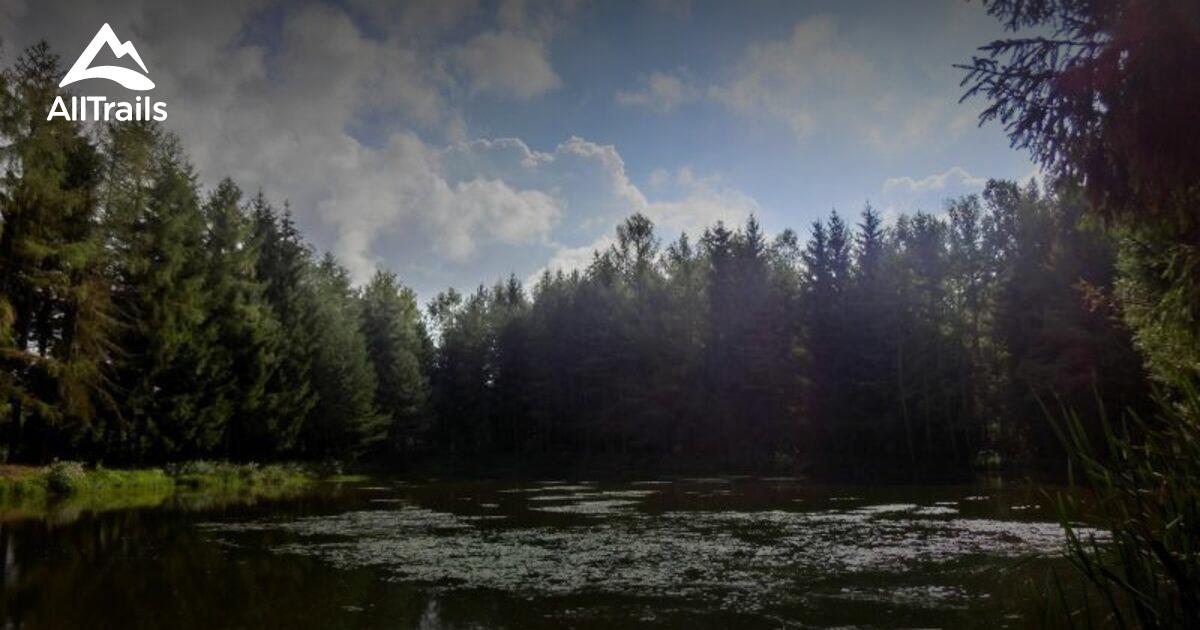 Best Trails near Parkstein | AllTrails