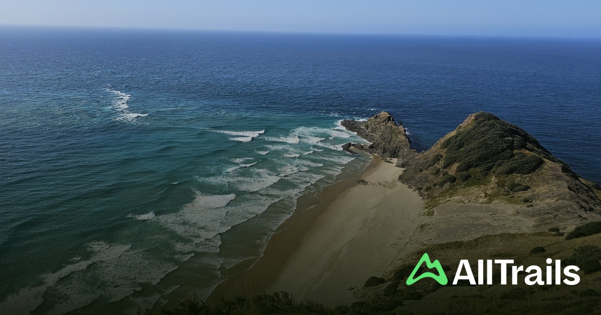 Te Horo Beach - hikes and trails to get you there | AllTrails