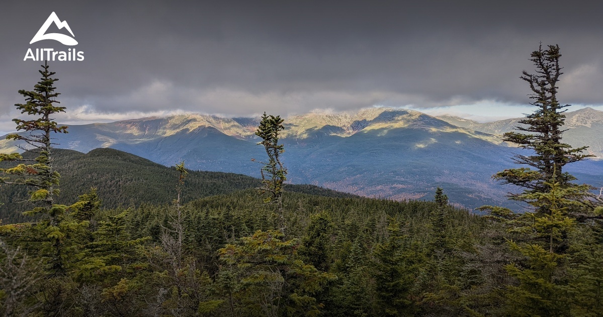 Thompson Falls - hikes and trails to get you there | AllTrails
