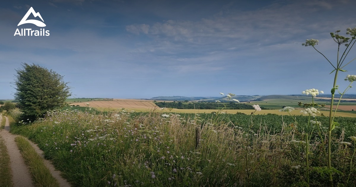 Chantry Hill - hikes and trails to get you there | AllTrails