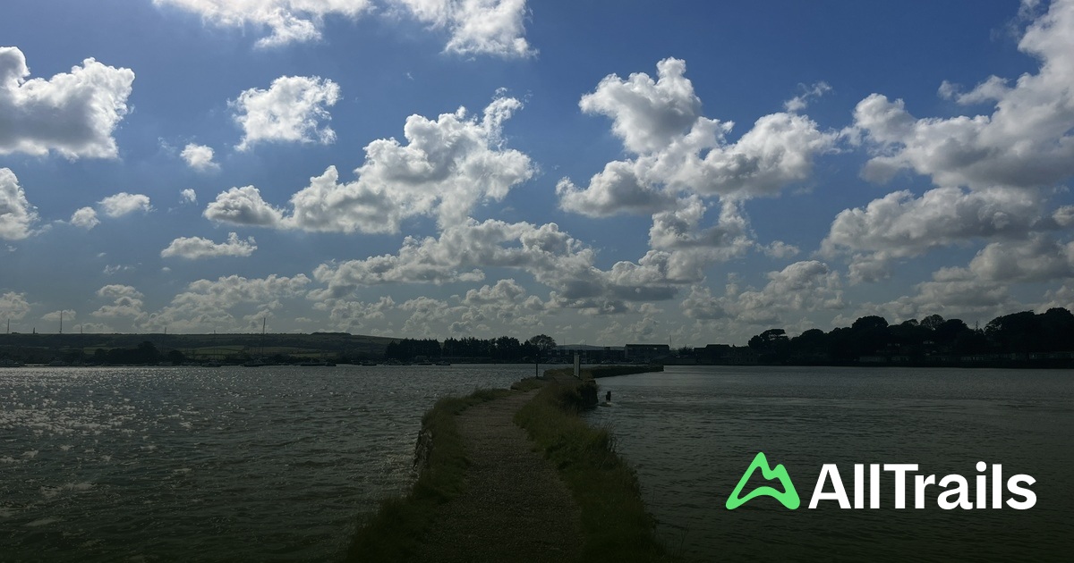 Yarborough Monument - hikes and trails to get you there | AllTrails