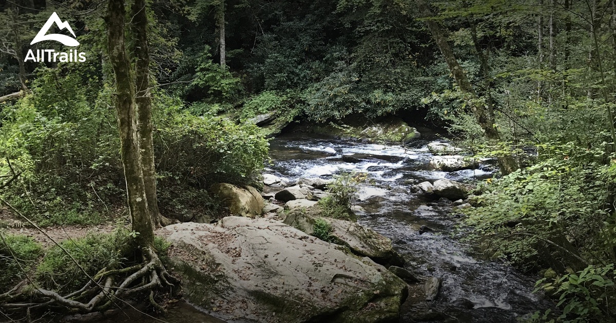 Tom Branch Falls - hikes and trails to get you there | AllTrails
