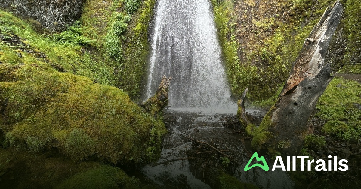Lemmons Viewpoint - hikes and trails to get you there | AllTrails