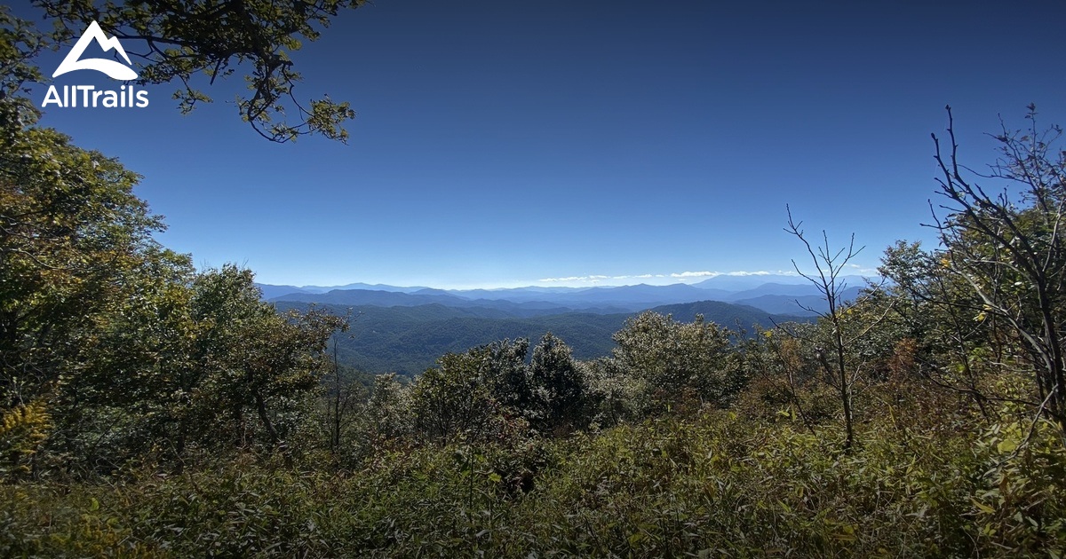 Unaka Mountain - hikes and trails to get you there | AllTrails