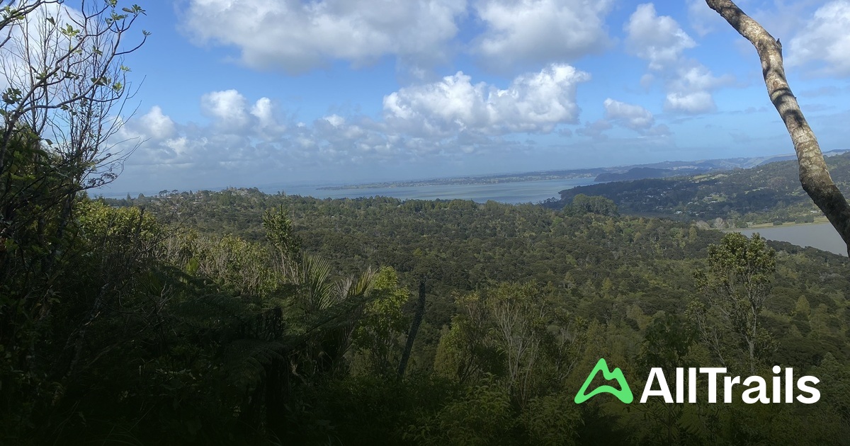 Arataki Visitor Centre CSC overnight parking area - hikes and trails to ...