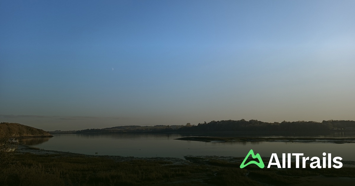 Plage du Vallion - hikes and trails to get you there | AllTrails