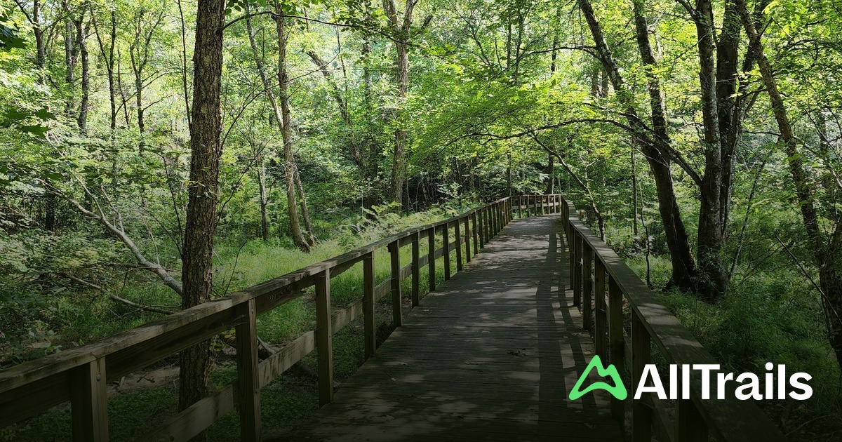 Chief Mcintosh Lake - hikes and trails to get you there | AllTrails