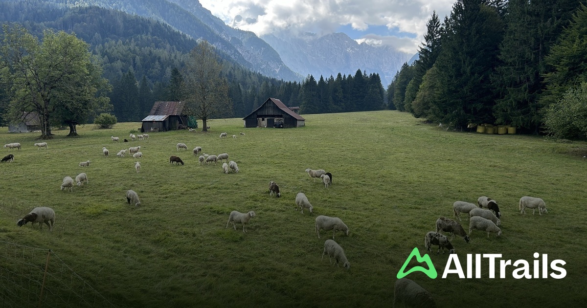 Ledine: Die besten Routen in der Umgebung | AllTrails