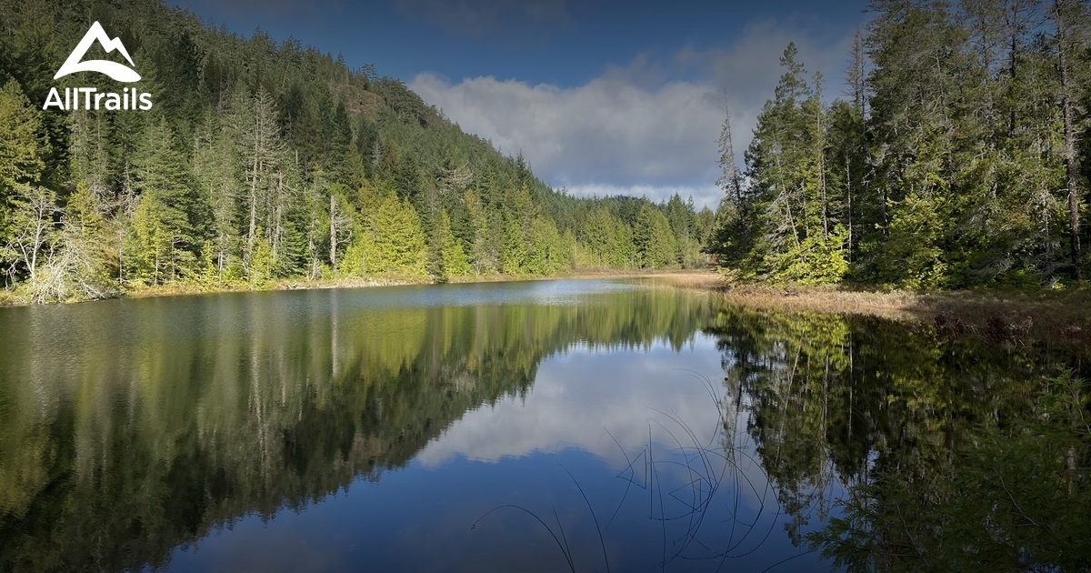 Mary Vine Falls - hikes and trails to get you there | AllTrails