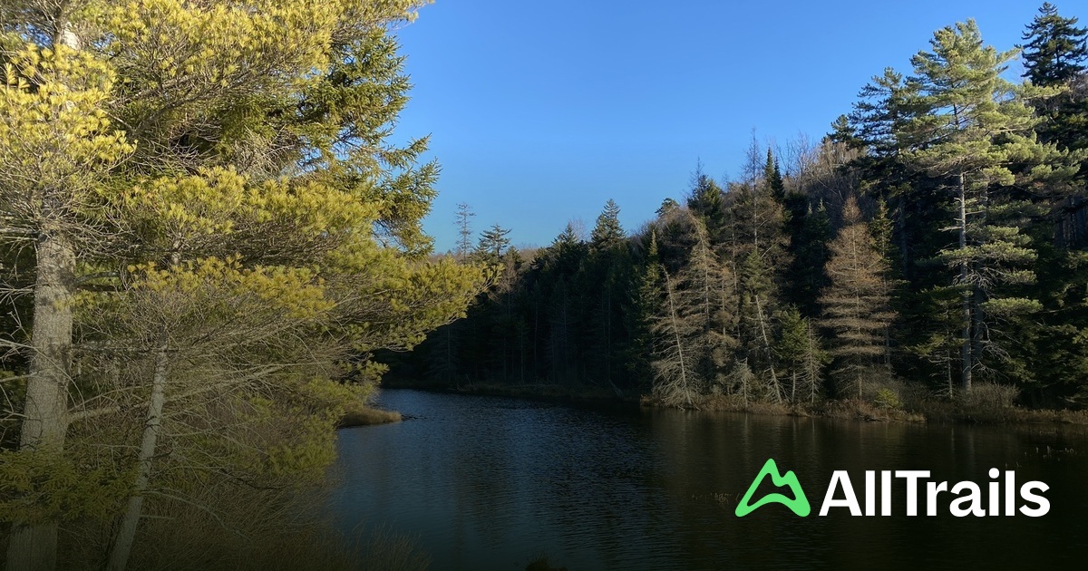 Nicks Lake - hikes and trails to get you there | AllTrails