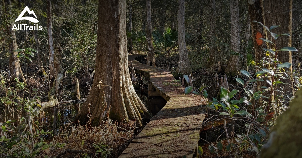 Sawdust Mountain - hikes and trails to get you there | AllTrails
