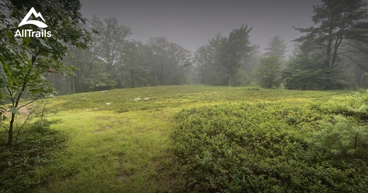 Hall Mountain - hikes and trails to get you there | AllTrails