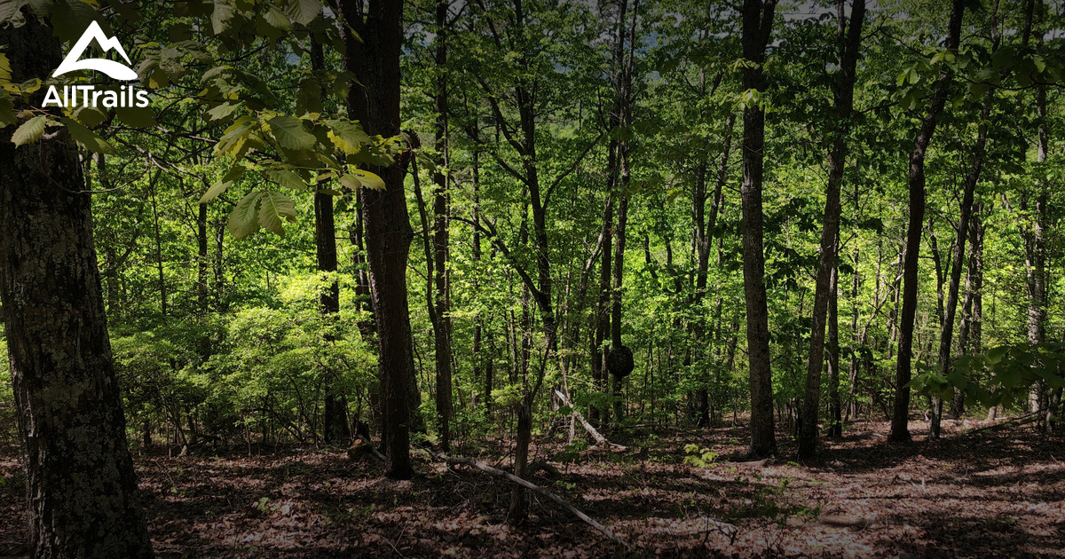Walker Mountain - hikes and trails to get you there | AllTrails