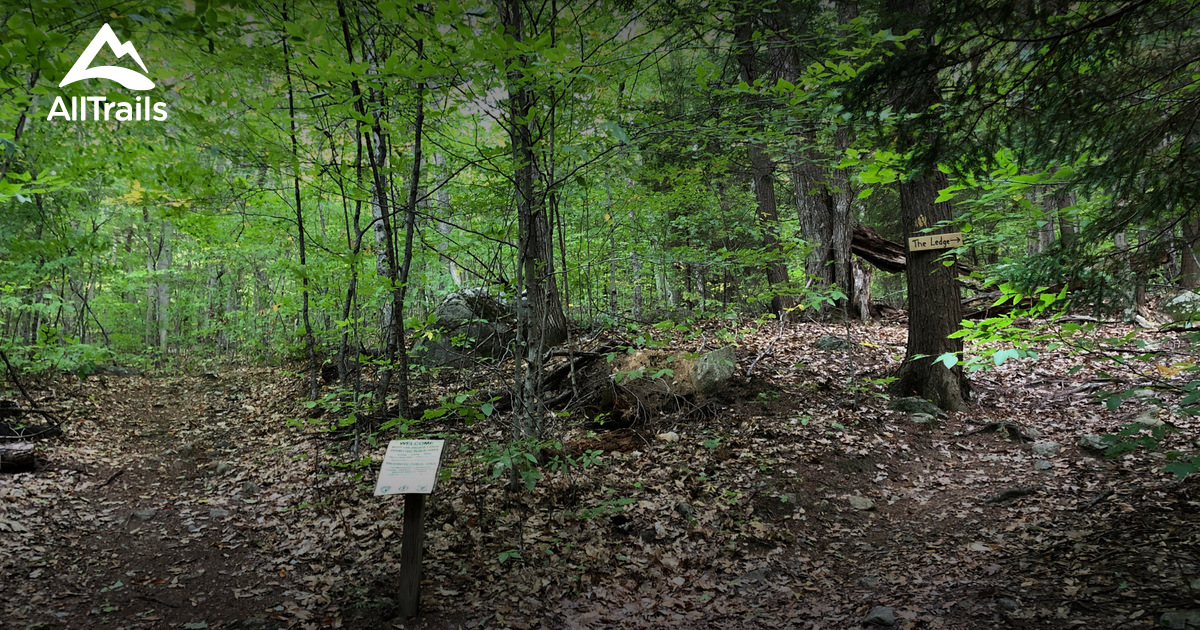 Mount Flagg - hikes and trails to get you there | AllTrails