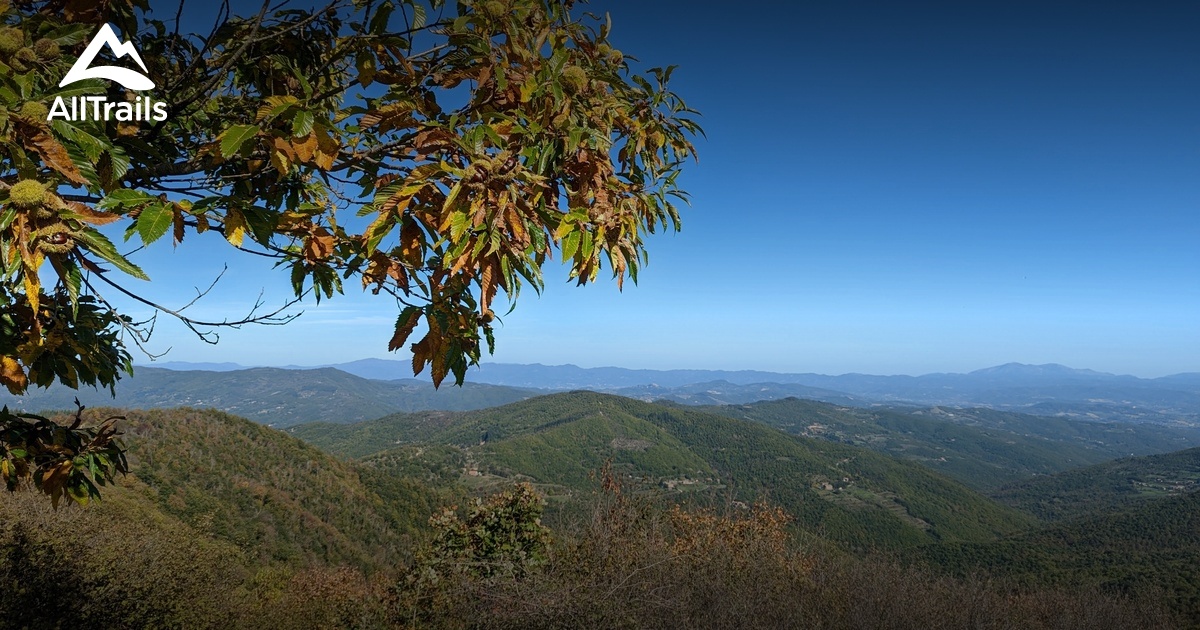Monte Croce di Novoli: Die besten Routen in der Umgebung | AllTrails