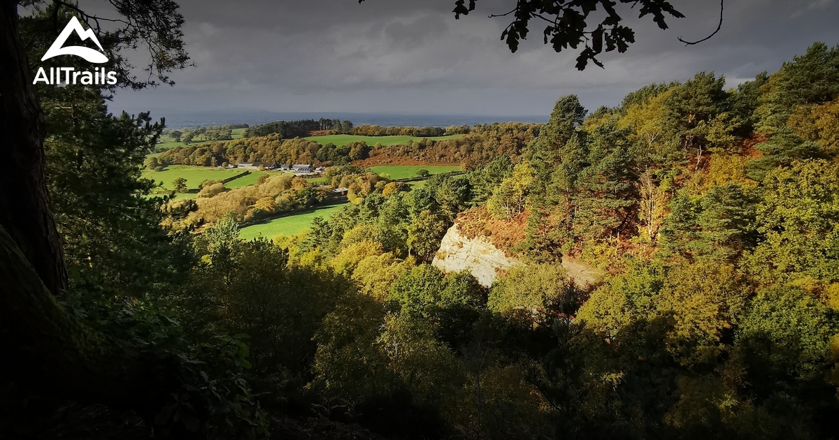 Larkton Hill - hikes and trails to get you there | AllTrails