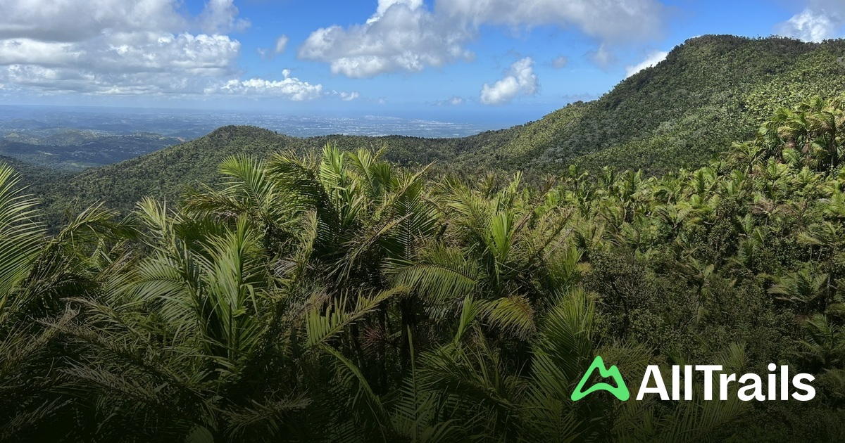 Yokahu Tower - hikes and trails to get you there | AllTrails