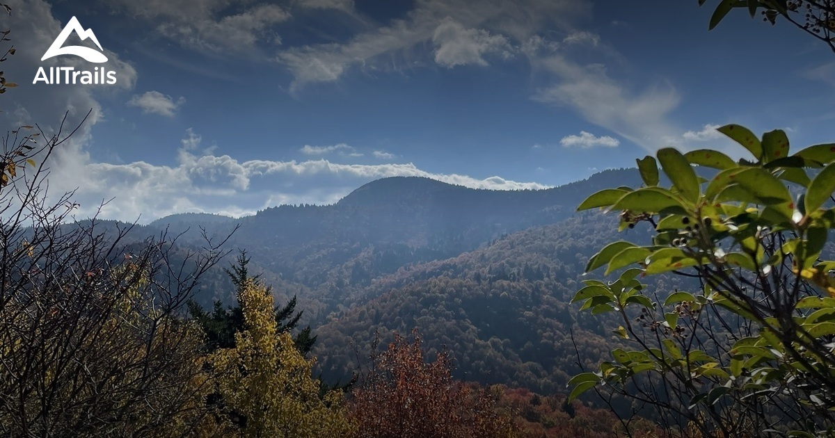 Wildcat Falls - hikes and trails to get you there | AllTrails