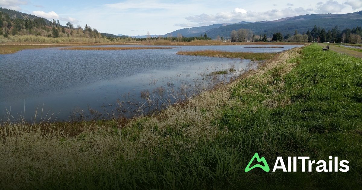 Walterville Reservoir - hikes and trails to get you there | AllTrails