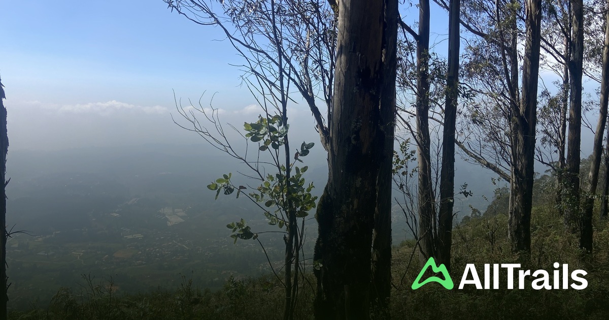 Tiger Hill Lake Resered Area: Die besten Routen in der Umgebung | AllTrails