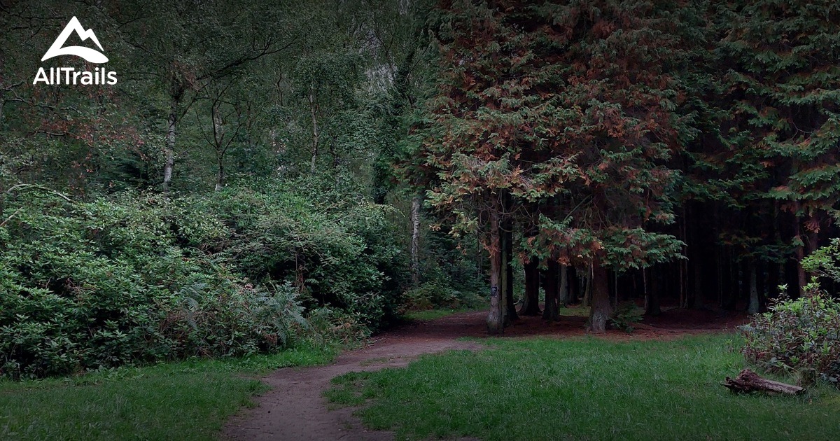 2023: Beste Routen in der Umgebung von Hamilton Hill | AllTrails