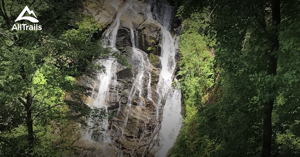 Beech Bottom Falls - hikes and trails to get you there | AllTrails