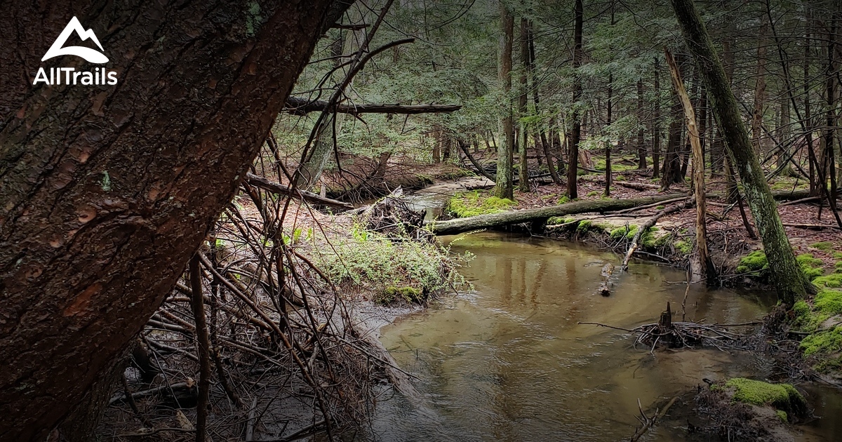 Lane Hill - hikes and trails to get you there | AllTrails