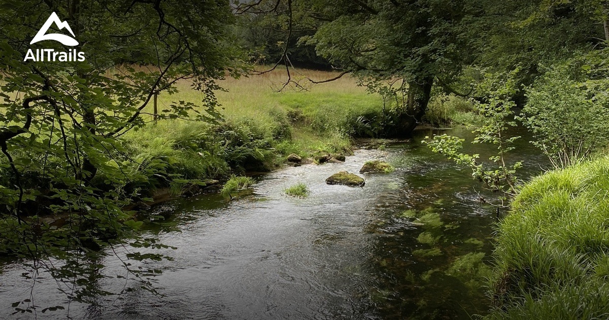 Golitha Falls - hikes and trails to get you there | AllTrails