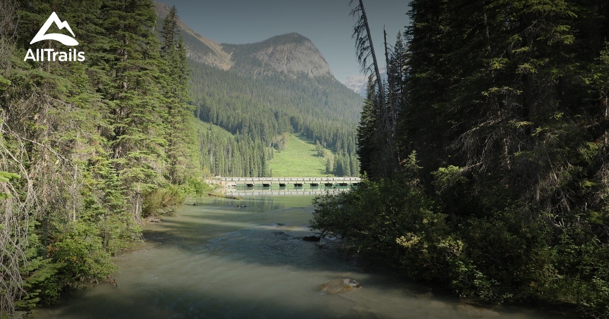 Hamilton Falls - hikes and trails to get you there | AllTrails