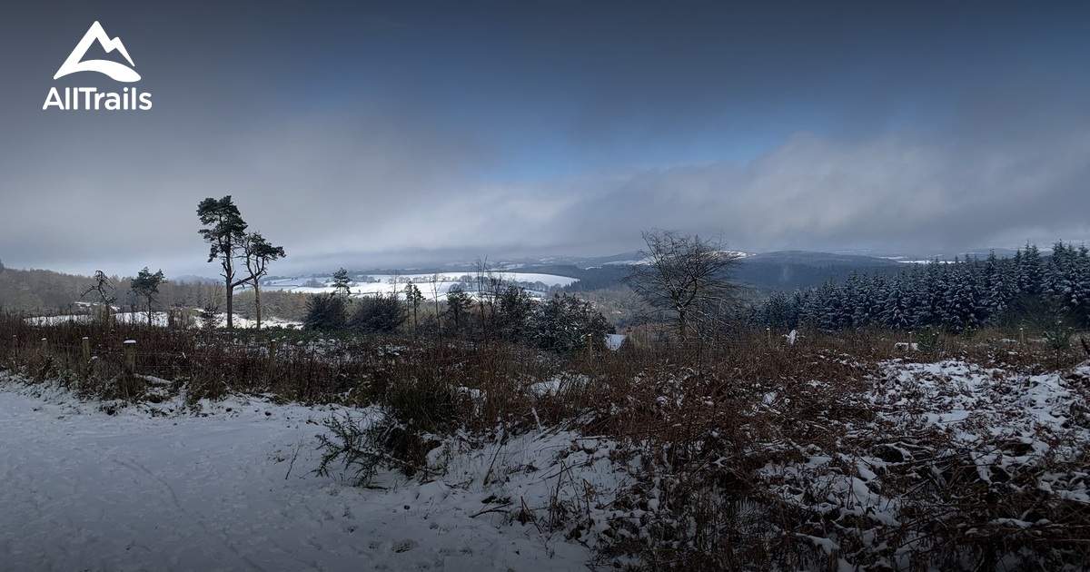 Littledean Hill - hikes and trails to get you there | AllTrails