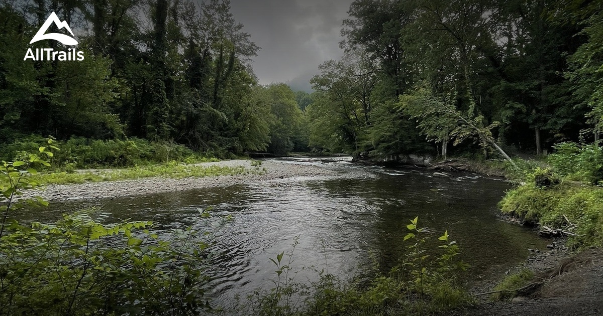 Cliff Branch Falls - hikes and trails to get you there | AllTrails