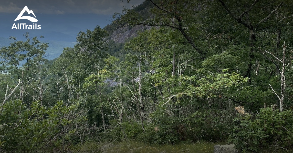 Fishhawk Mountain - hikes and trails to get you there | AllTrails