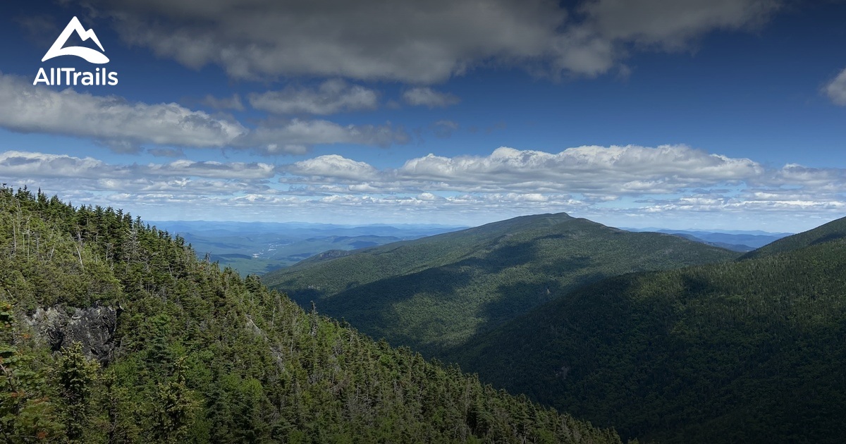 Wildcat D - hikes and trails to get you there | AllTrails