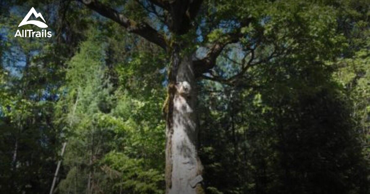 Landel - hikes and trails to get you there | AllTrails