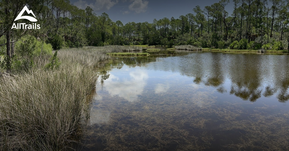 Shell Mound - hikes and trails to get you there | AllTrails