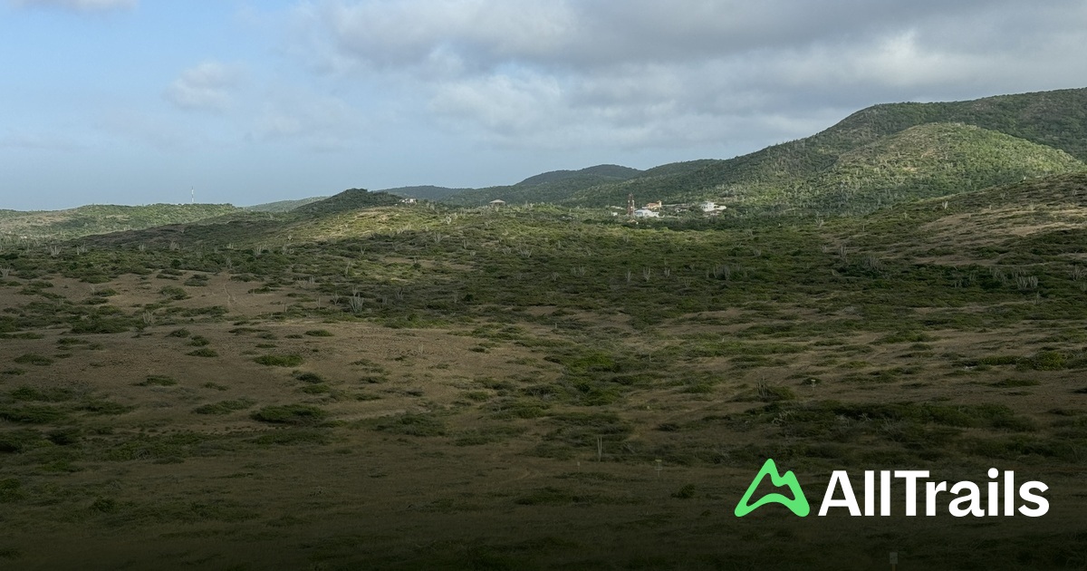 Kalki Beach - hikes and trails to get you there | AllTrails