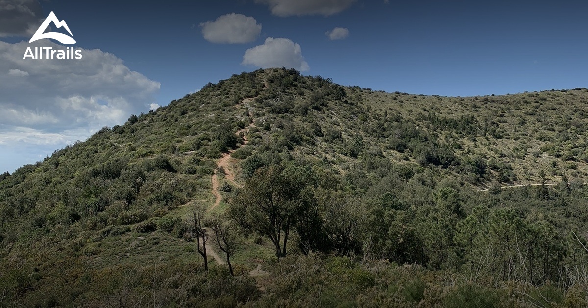 I migliori sentieri vicino a Monte Faeta | AllTrails