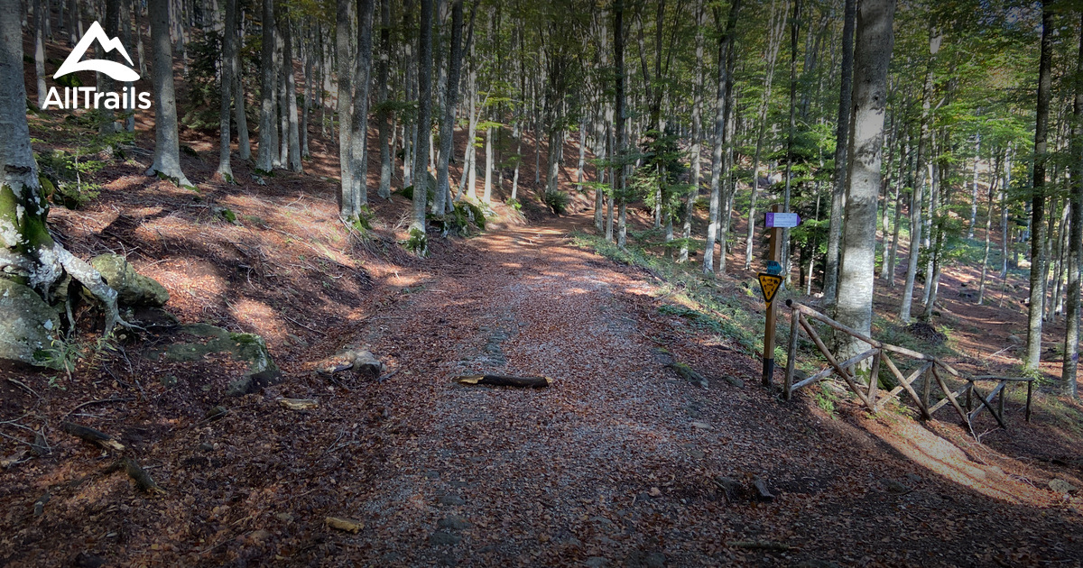 Mount Amiata - hikes and trails to get you there | AllTrails