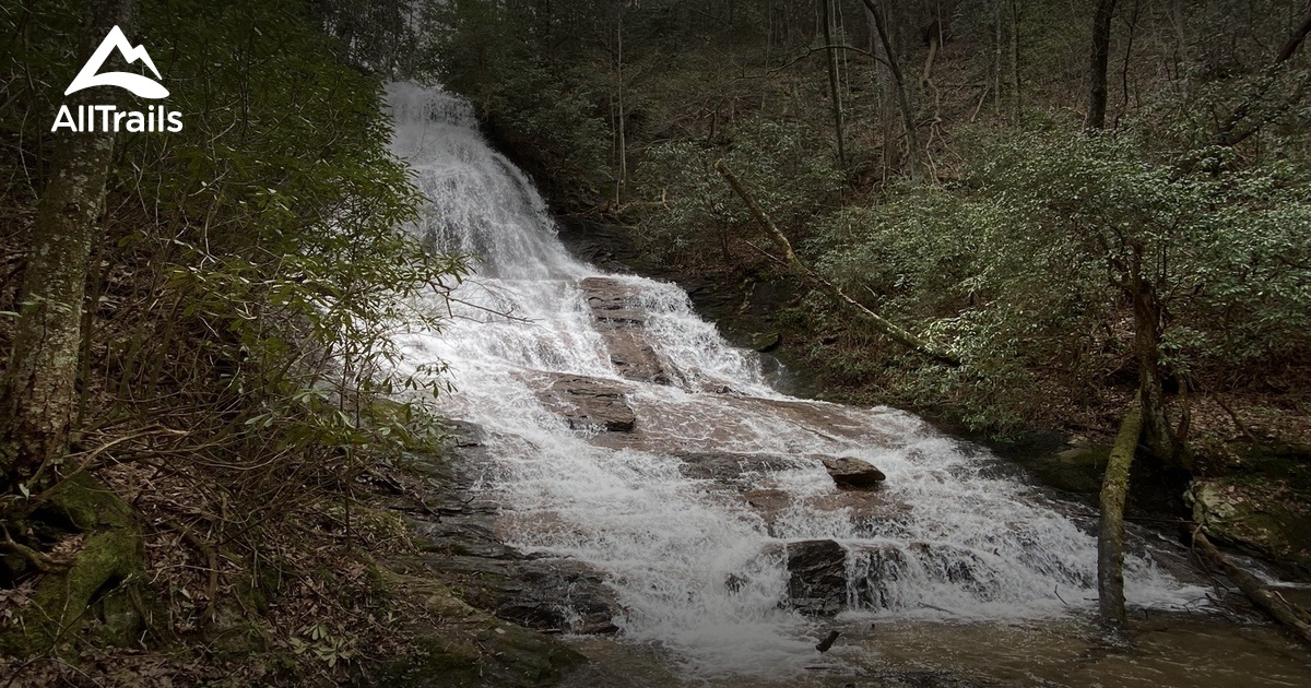 Fall Creek Waterfall - hikes and trails to get you there | AllTrails