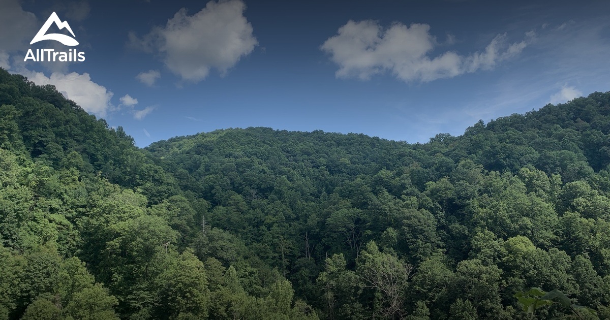 Raven Cliff Falls - hikes and trails to get you there | AllTrails