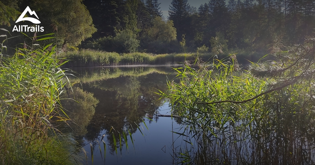 Lanser Kopf - hikes and trails to get you there | AllTrails