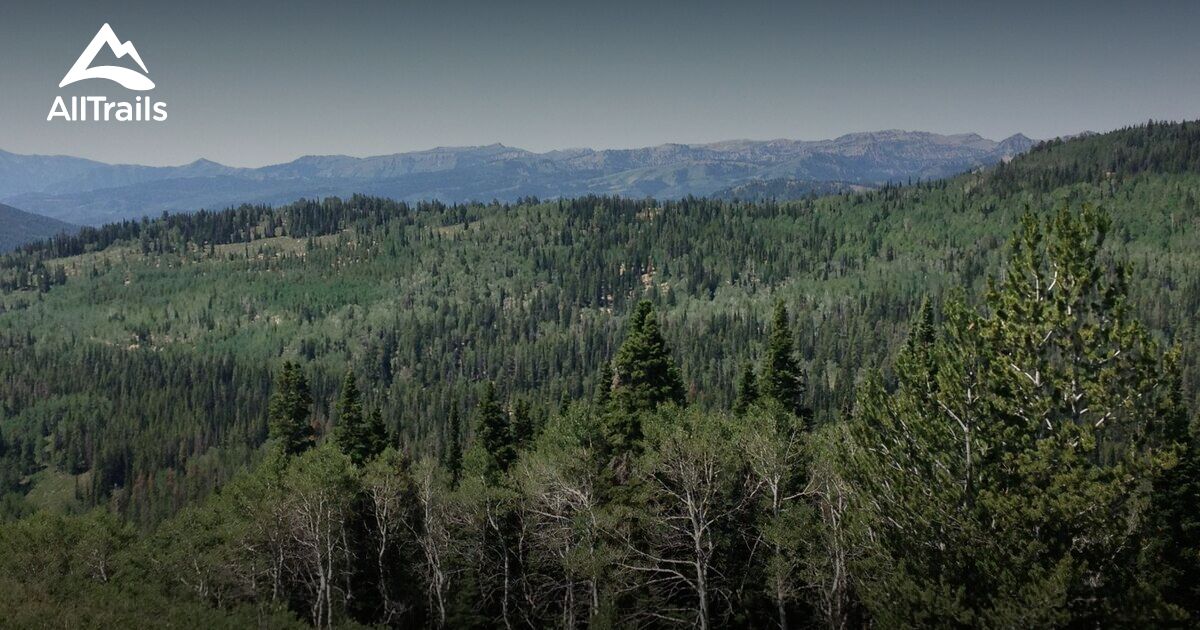 Bridger Peak - hikes and trails to get you there | AllTrails