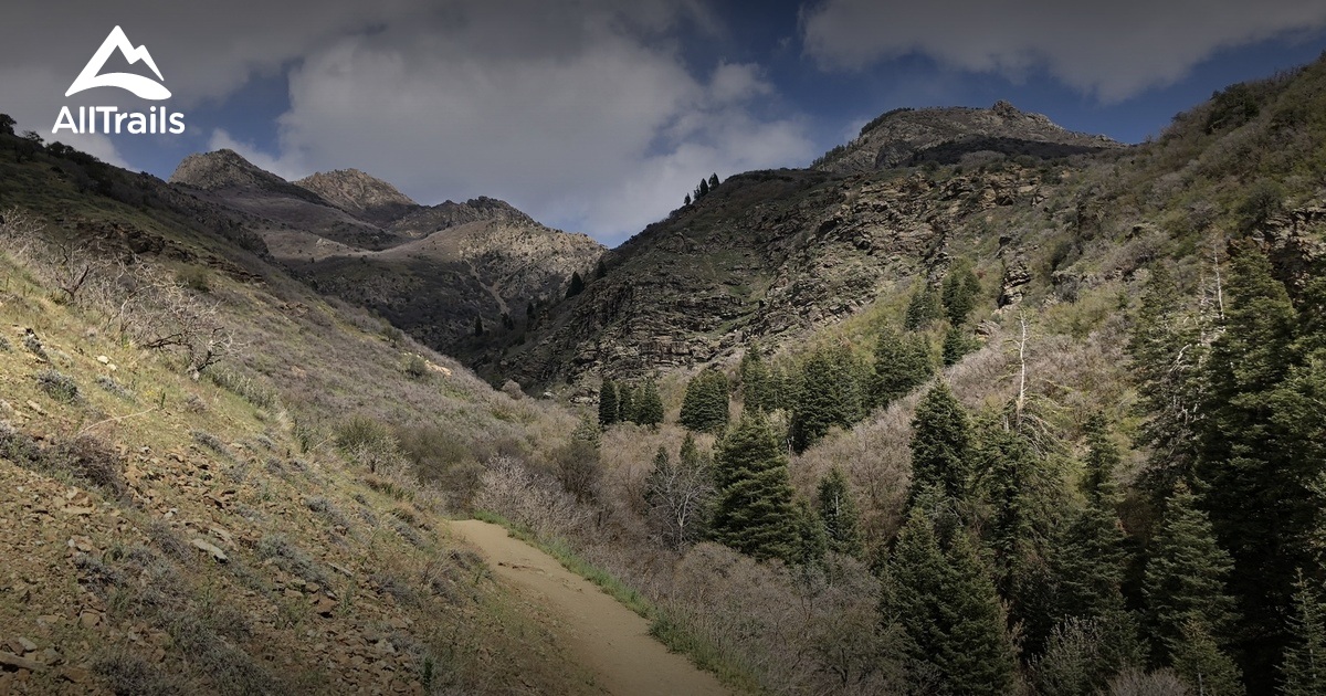 Adams Canyon Waterfall - hikes and trails to get you there | AllTrails