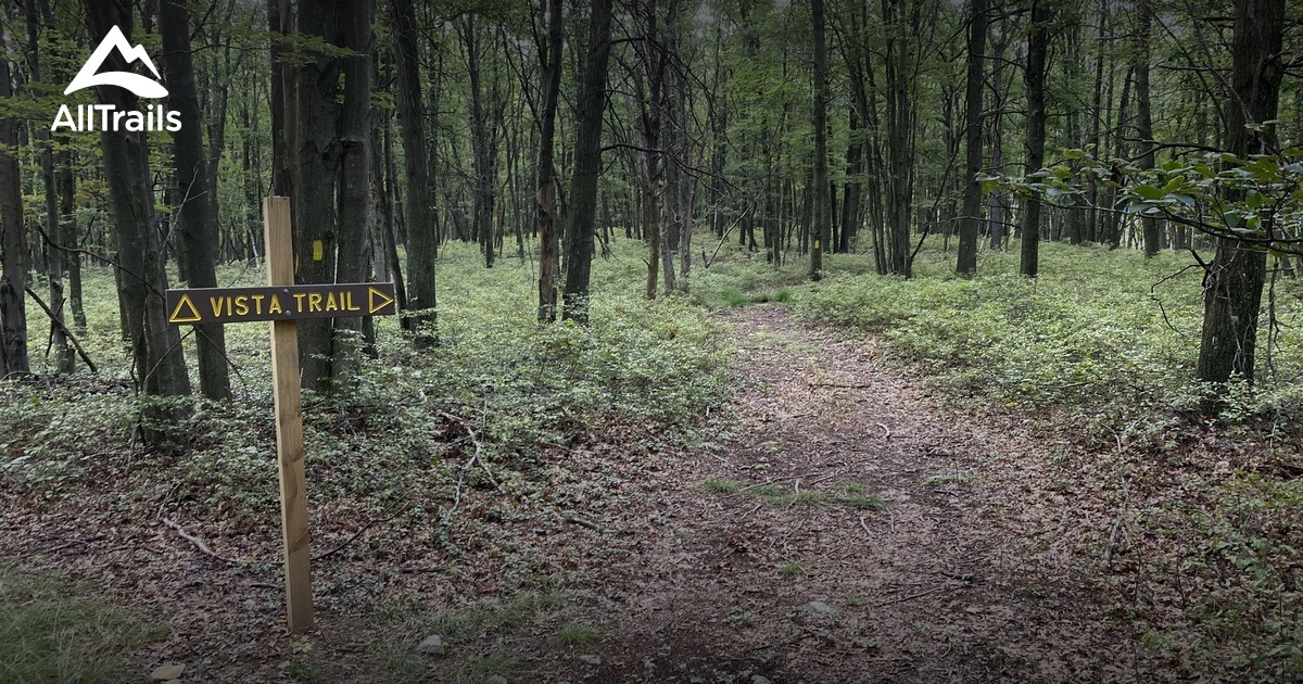 Penn Haven Mountain - hikes and trails to get you there | AllTrails