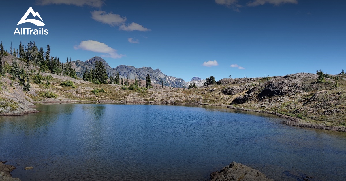 Flower Ridge - hikes and trails to get you there | AllTrails