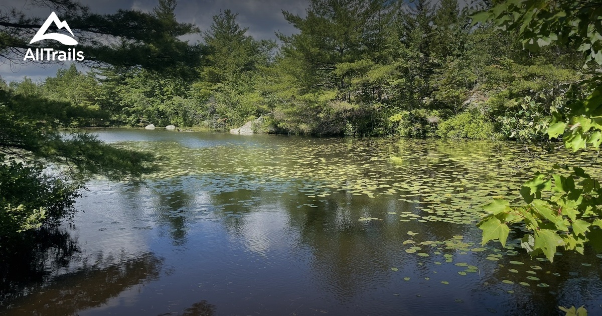 Blue Job Mountain - hikes and trails to get you there | AllTrails