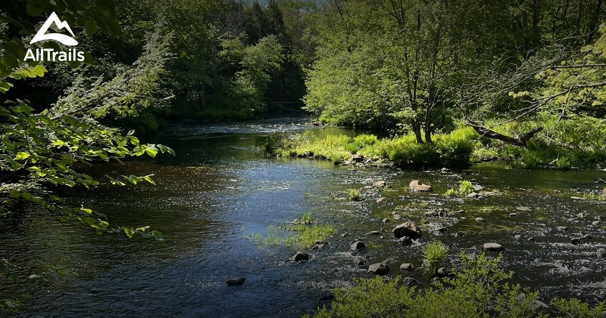 Gonic Trails Falls - hikes and trails to get you there | AllTrails