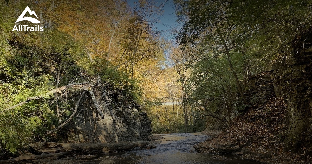 Indian Run Falls - hikes and trails to get you there | AllTrails