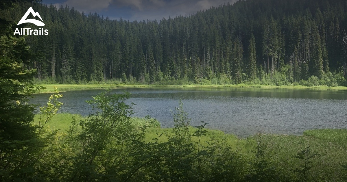 Eight Lakes View - hikes and trails to get you there | AllTrails